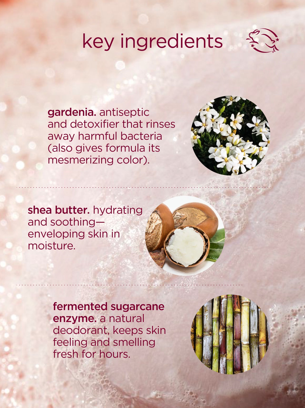 cocoon cleanse - solid serum cleanser – hanni | lazy bodycare for real ...
