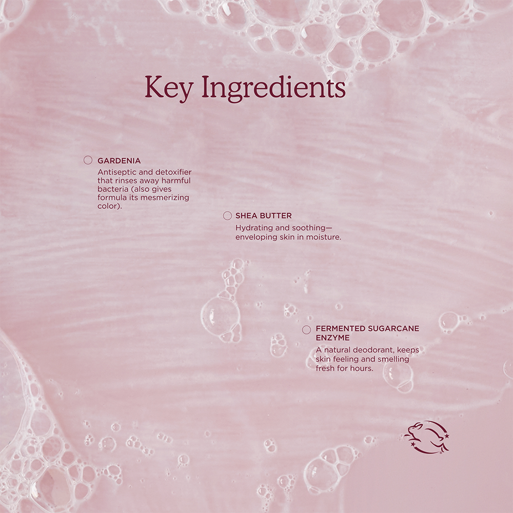 Cocoon Cleanse – hanni